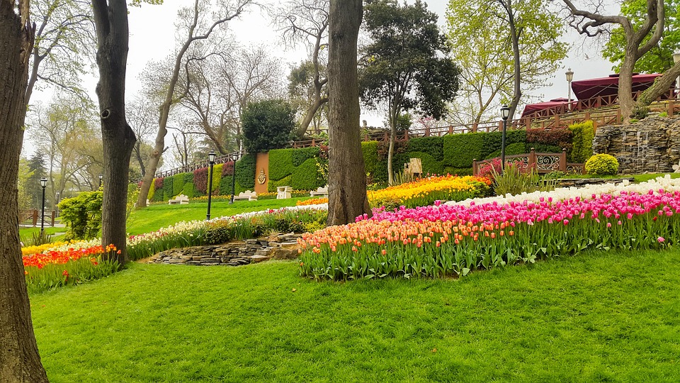 Emirgan สวน อิสตันบูล - ภาพฟรีบน Pixabay
