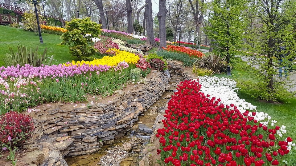 Emirgan สวน อิสตันบูล - ภาพฟรีบน Pixabay