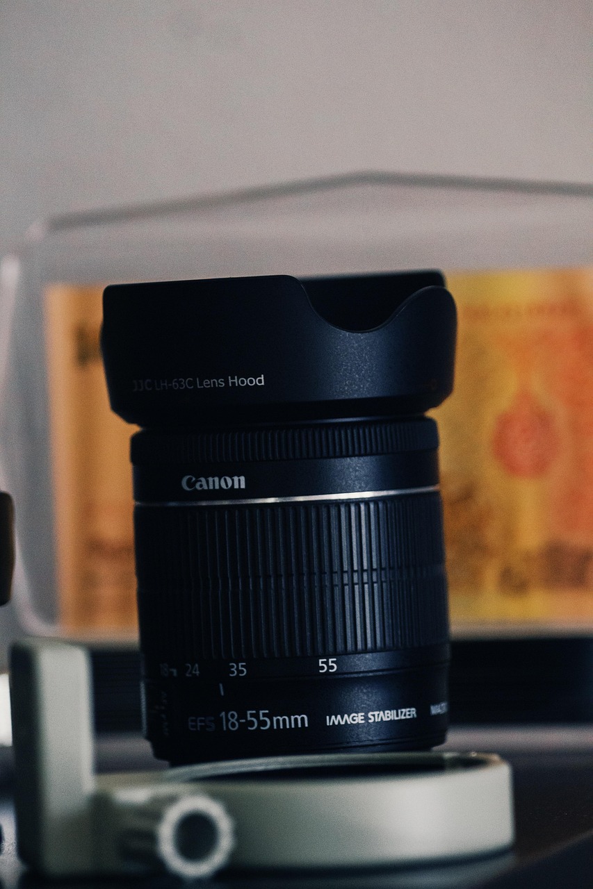 超过 80000 张关于“Fish Eye Lens”和“鱼”的免费图片 - Pixabay