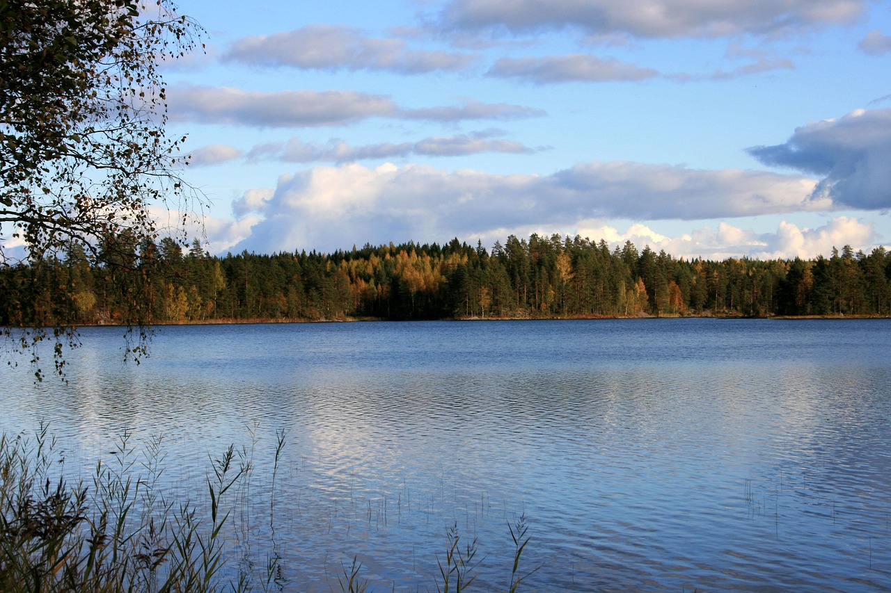 Lac Nature Ciel Des - Photo gratuite sur Pixabay - Pixabay