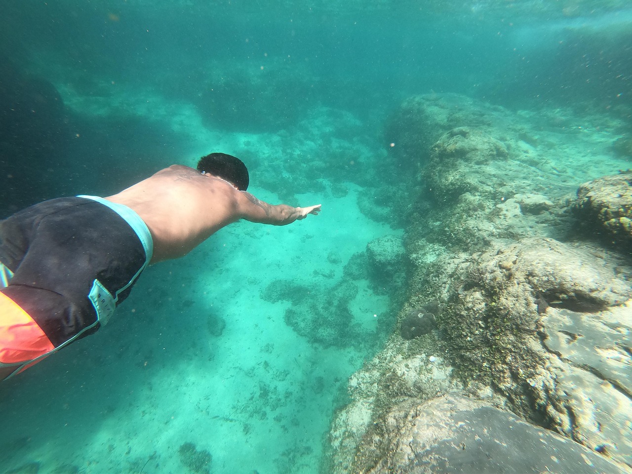 Philippines Dive - Free photo on Pixabay - Pixabay