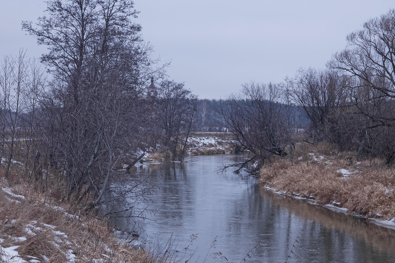 Winter Die Natur Feld - Kostenloses Foto auf Pixabay - Pixabay