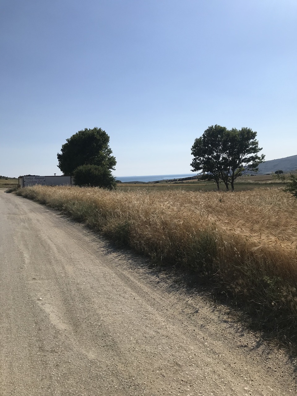 The Dirt Road Path Tree - Free photo on Pixabay - Pixabay