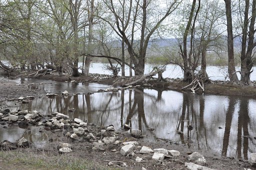 9+ Free Stagnant Water & Water Photos