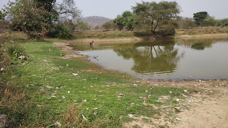 India Village Pond Indian - Free photo on Pixabay - Pixabay