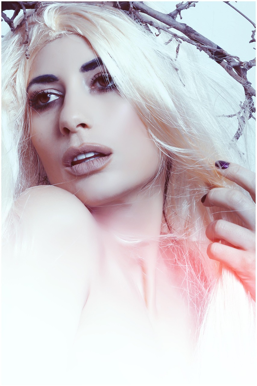 Blonde Art Portrait Photo Gratuite Sur Pixabay Pixabay