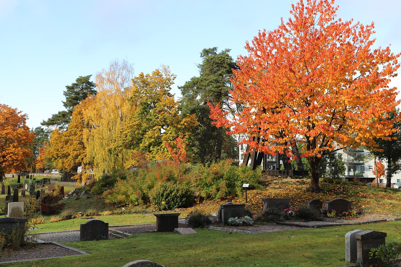 Autunno Foglia Autunnale Cimitero - Foto gratis su Pixabay - Pixabay