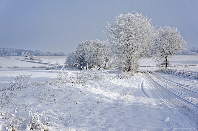Landscape Winter Cold - Free photo on Pixabay - Pixabay