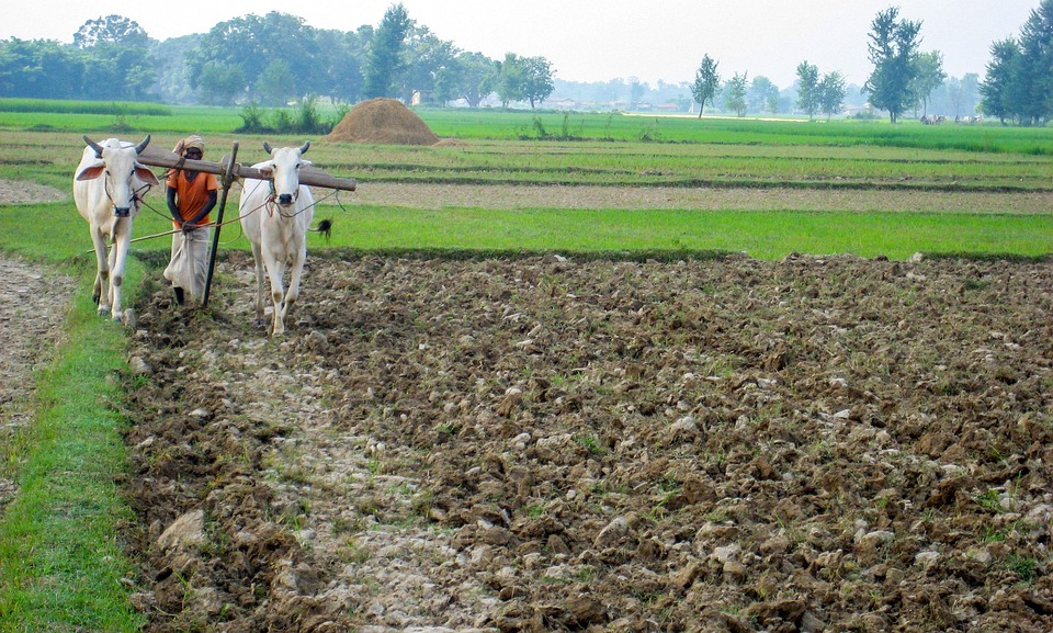 Traditional Farming Of Nepal - Free photo on Pixabay