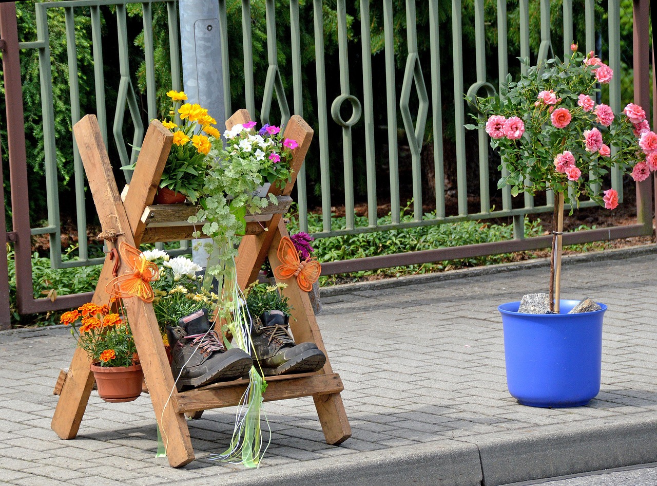 400,000+ Free Blumen & Nature Images - Pixabay
