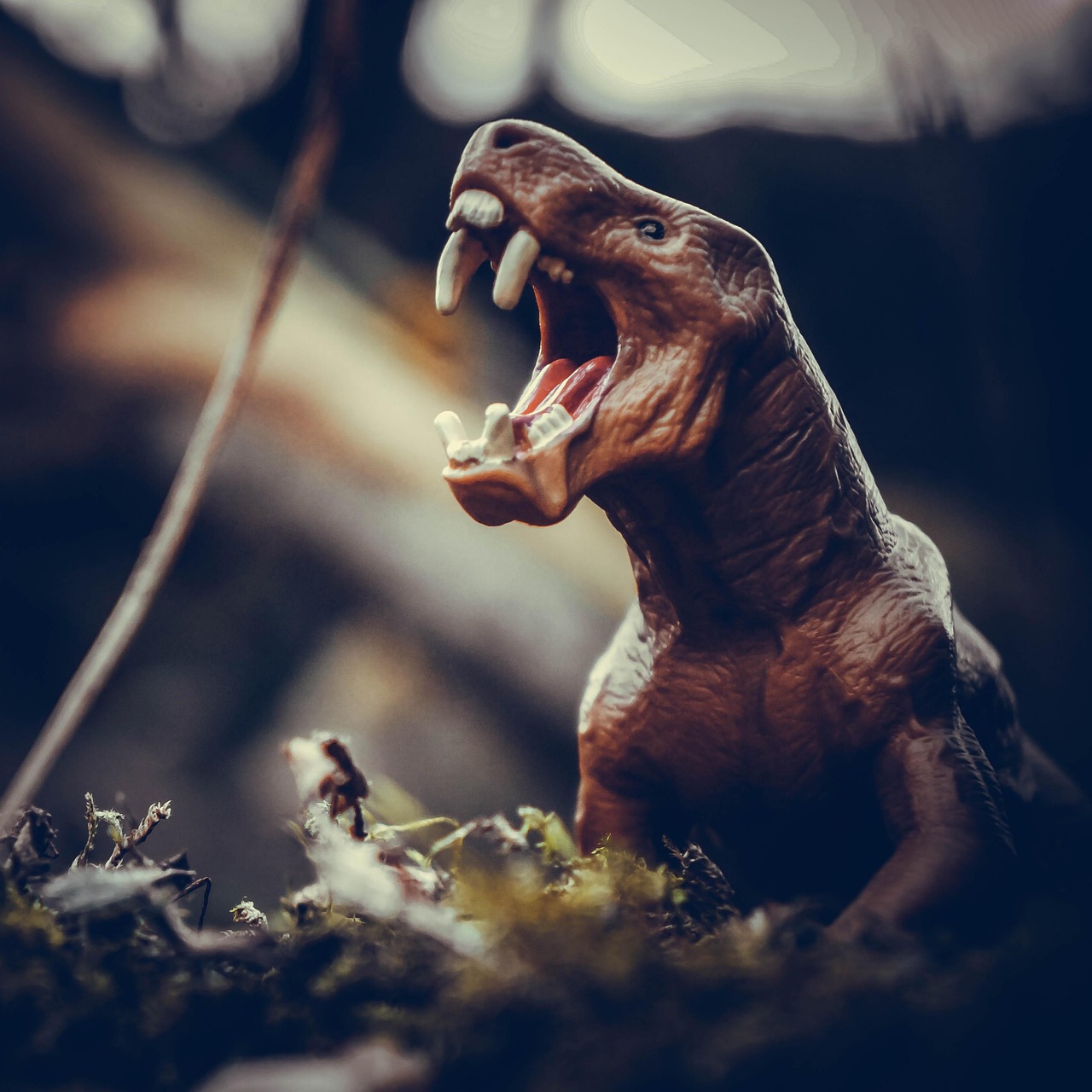100+ Free Colorful Dinosaurs & Dinosaur Images - Pixabay