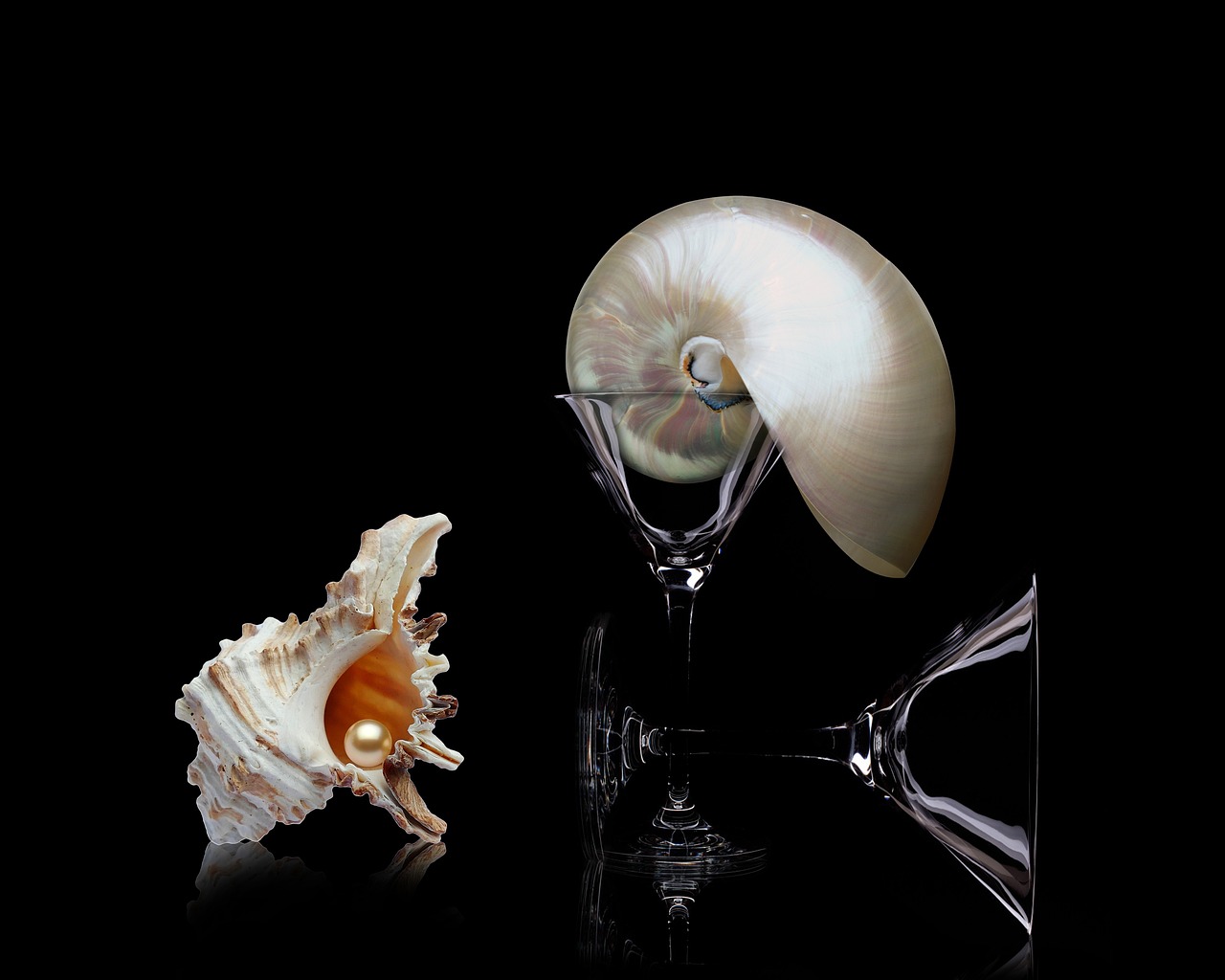 3,000+ Free Pearls & Pearl Necklace Images - Pixabay