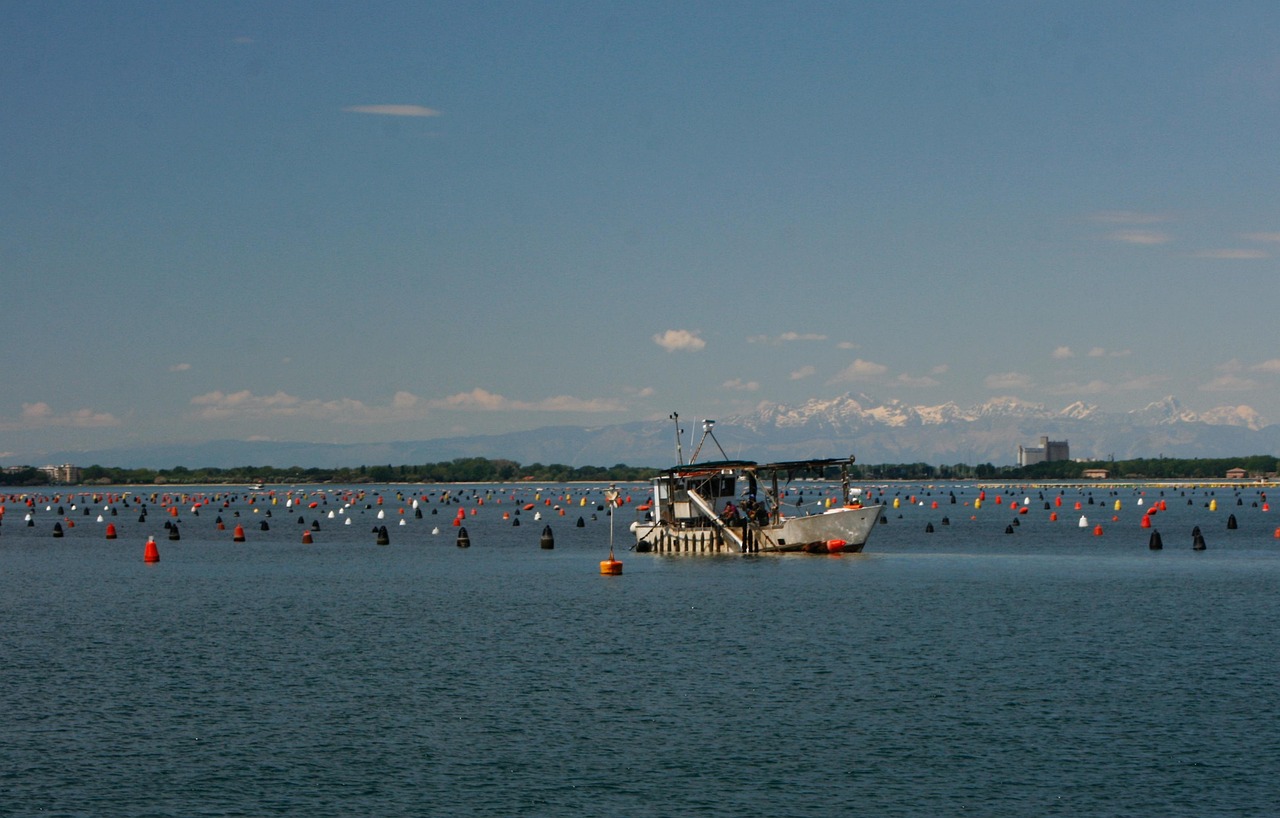 Mussels Farm Sea - Free photo on Pixabay