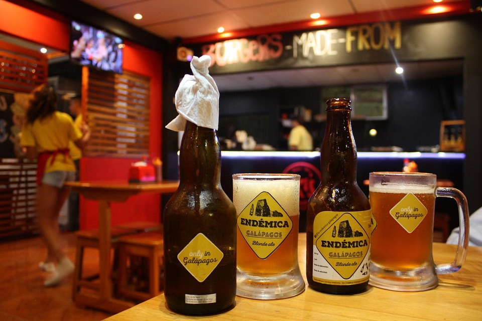 Galapagos Beer - Free photo on Pixabay - Pixabay