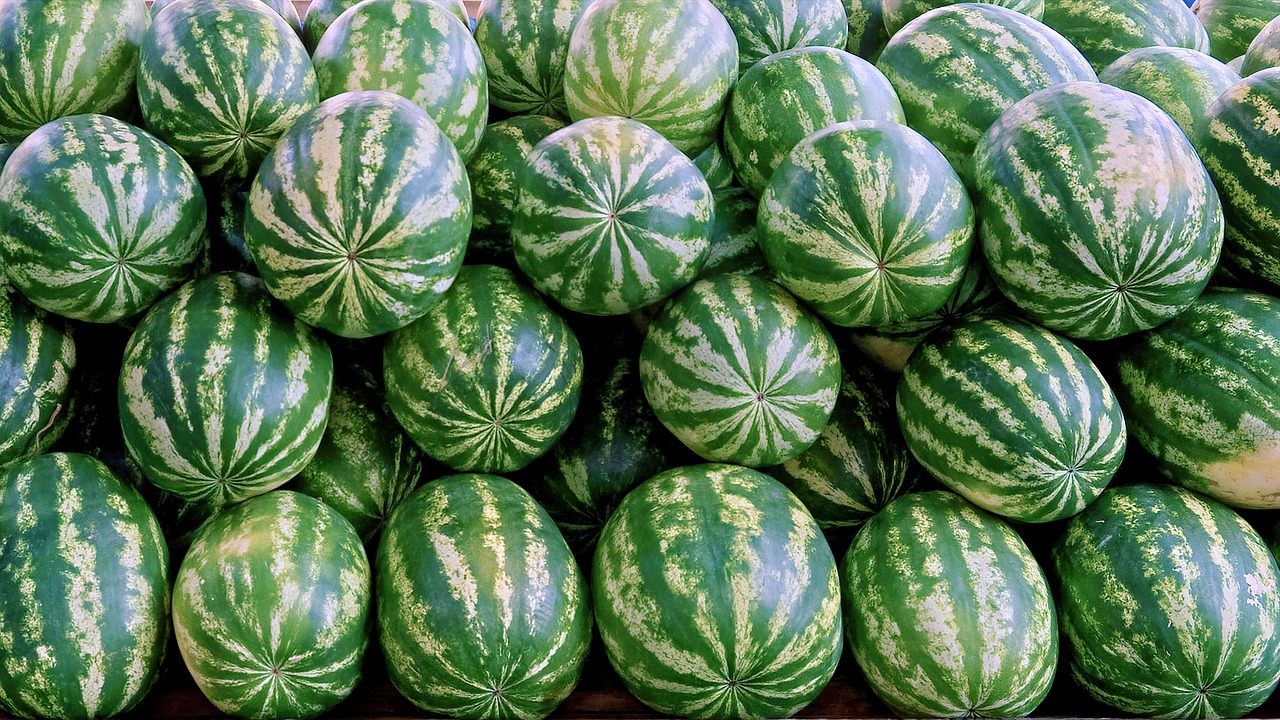 Más de 200 000 imágenes gratis de Melones De Una Mujer y Mujer - Pixabay