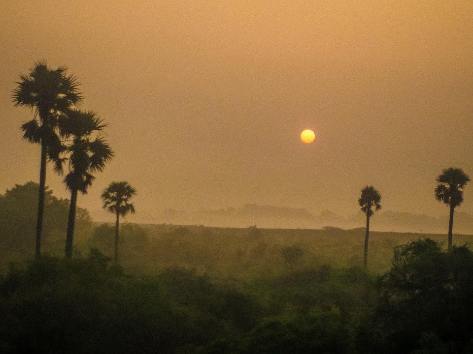 Morning Nature - Free photo on Pixabay