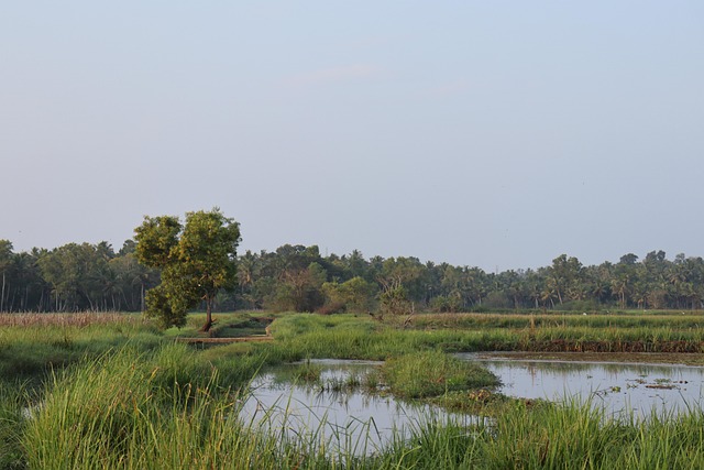 Nature Water Farm - Free photo on Pixabay