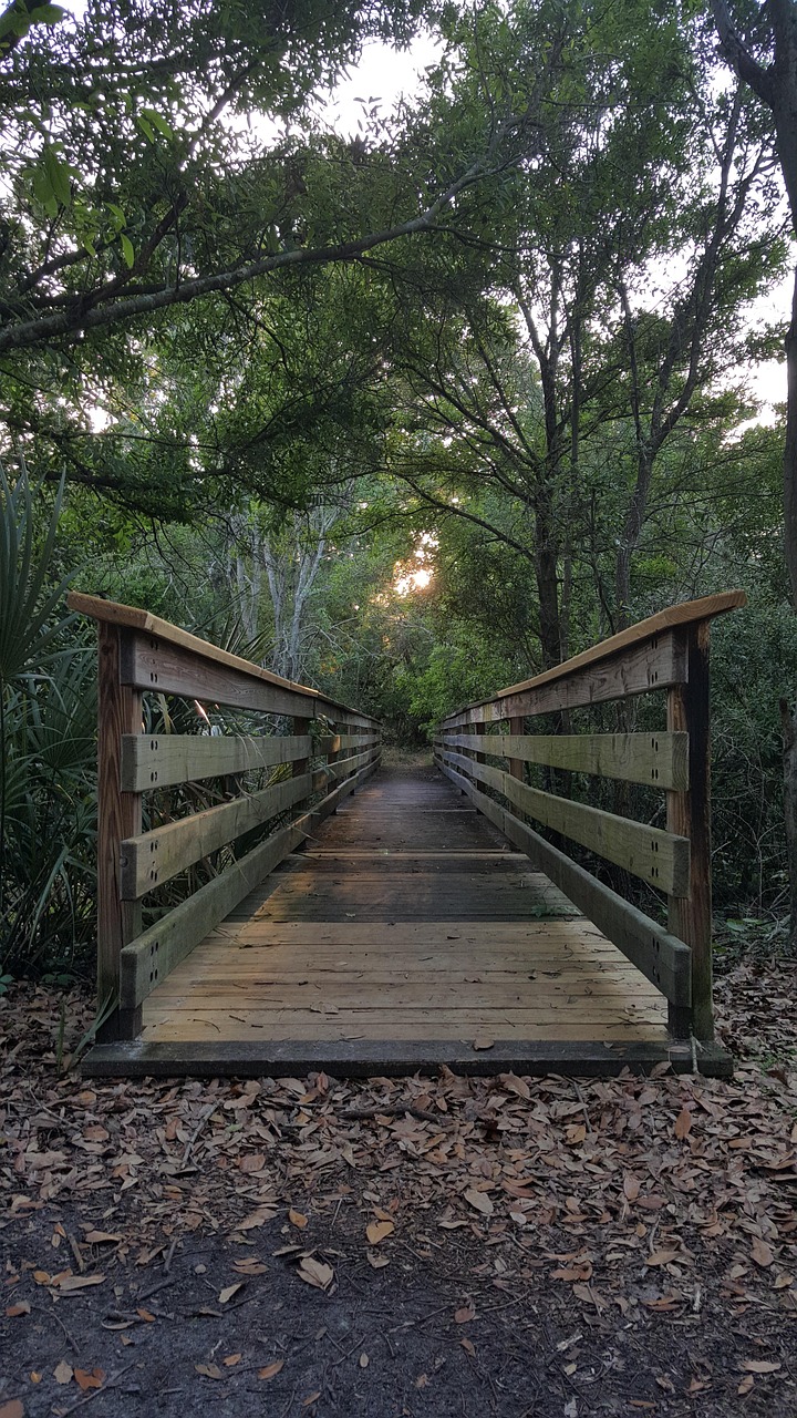 Nature Trail Park - Free photo on Pixabay - Pixabay