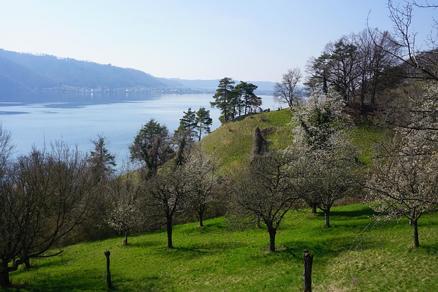Lago De Constanza Überlinger Ver - Foto gratis en Pixabay - Pixabay