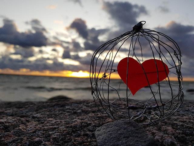 Sunset Trapped Trap - Free photo on Pixabay