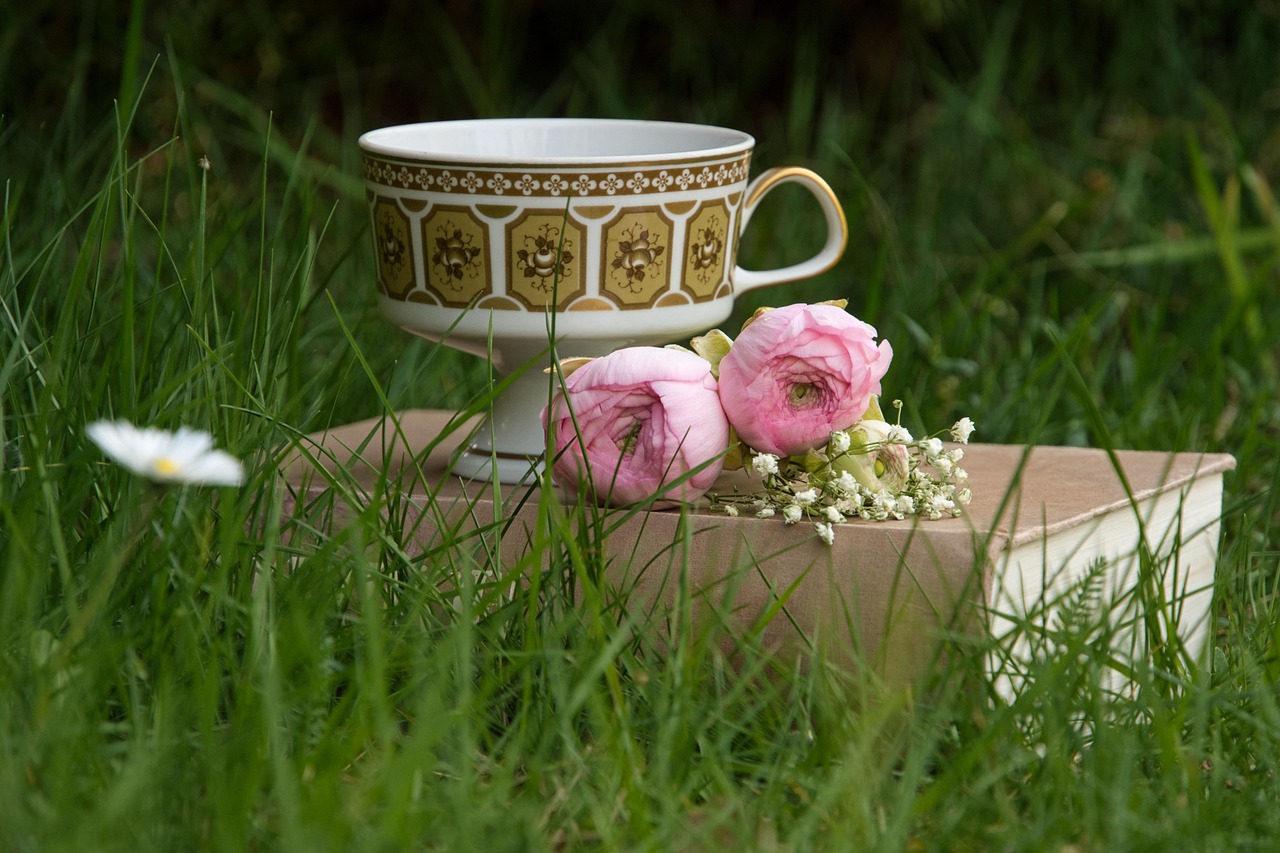 We Stay At Home Meadow - Free photo on Pixabay - Pixabay