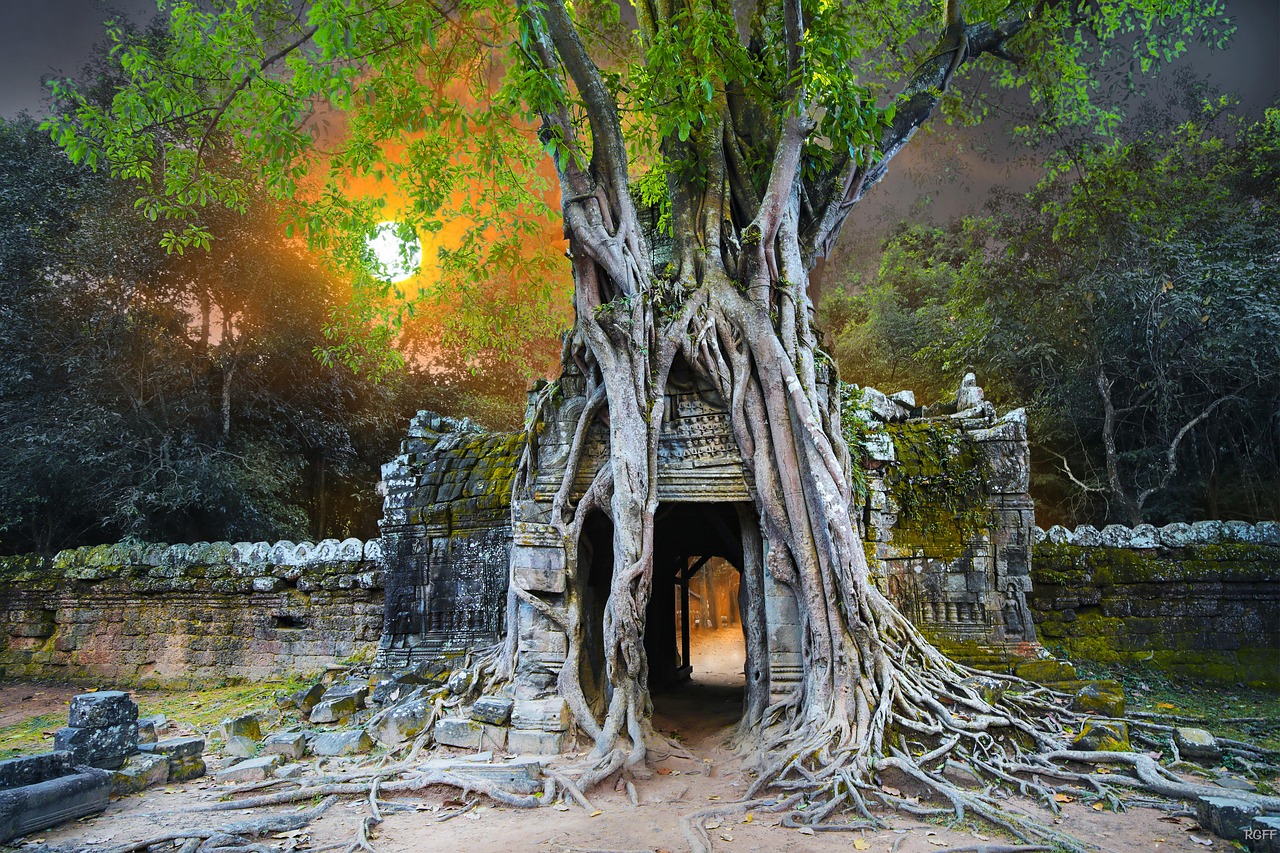 Nature Arbre Paysage - Photo gratuite sur Pixabay