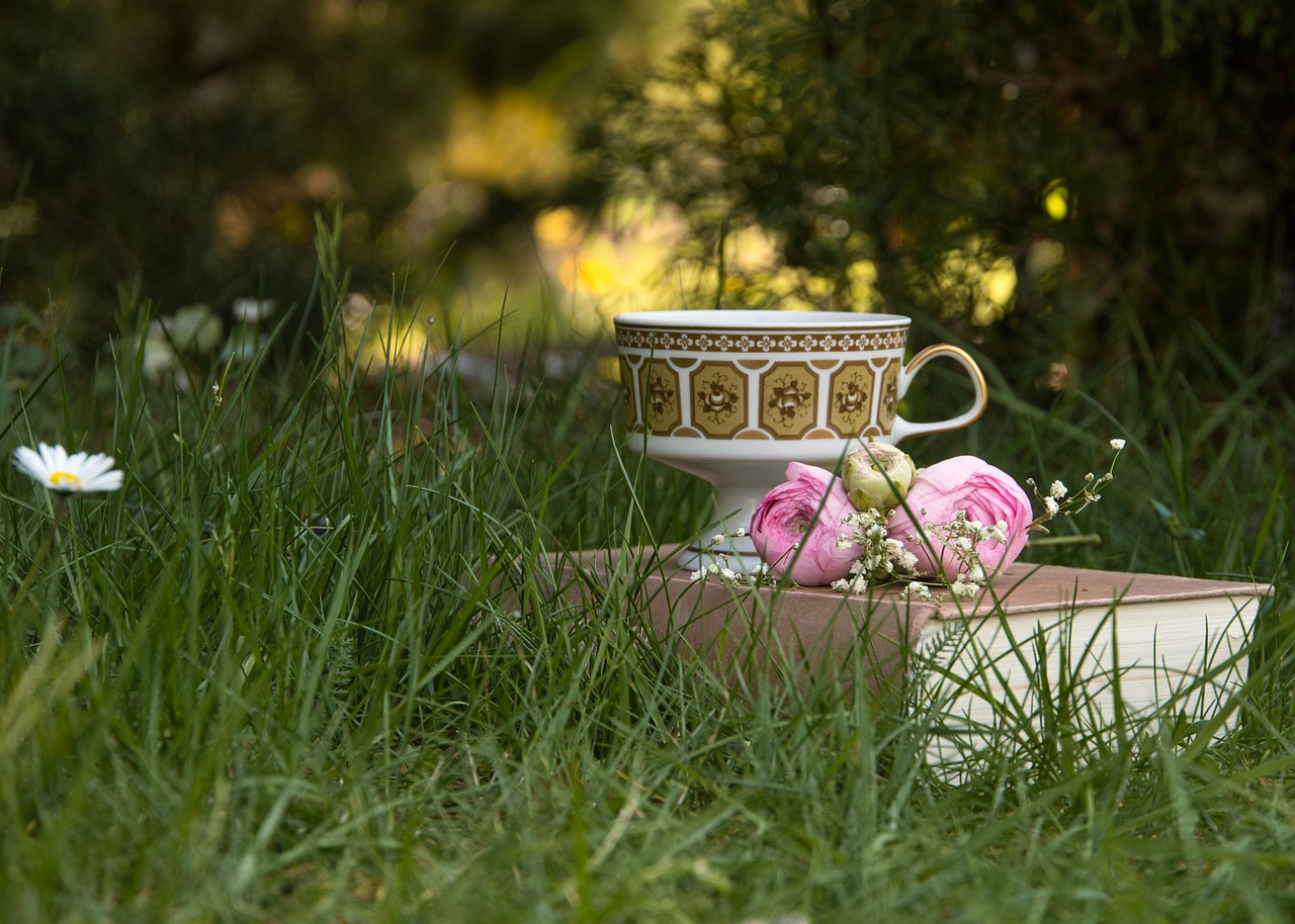 We Stay At Home Meadow - Free photo on Pixabay
