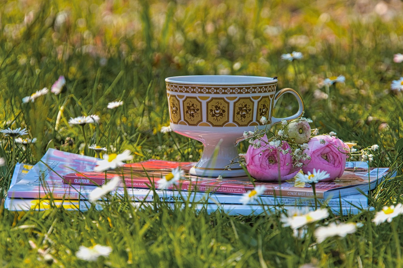 We Stay At Home Meadow - Free photo on Pixabay - Pixabay