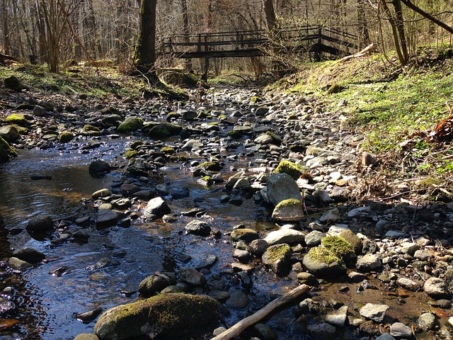 Natur Foto Wasser - Kostenloses Bild auf Pixabay - Pixabay