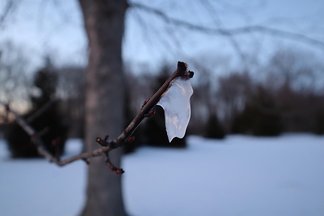 La Glace En Plein Air Hiver Du - Photo gratuite sur Pixabay - Pixabay