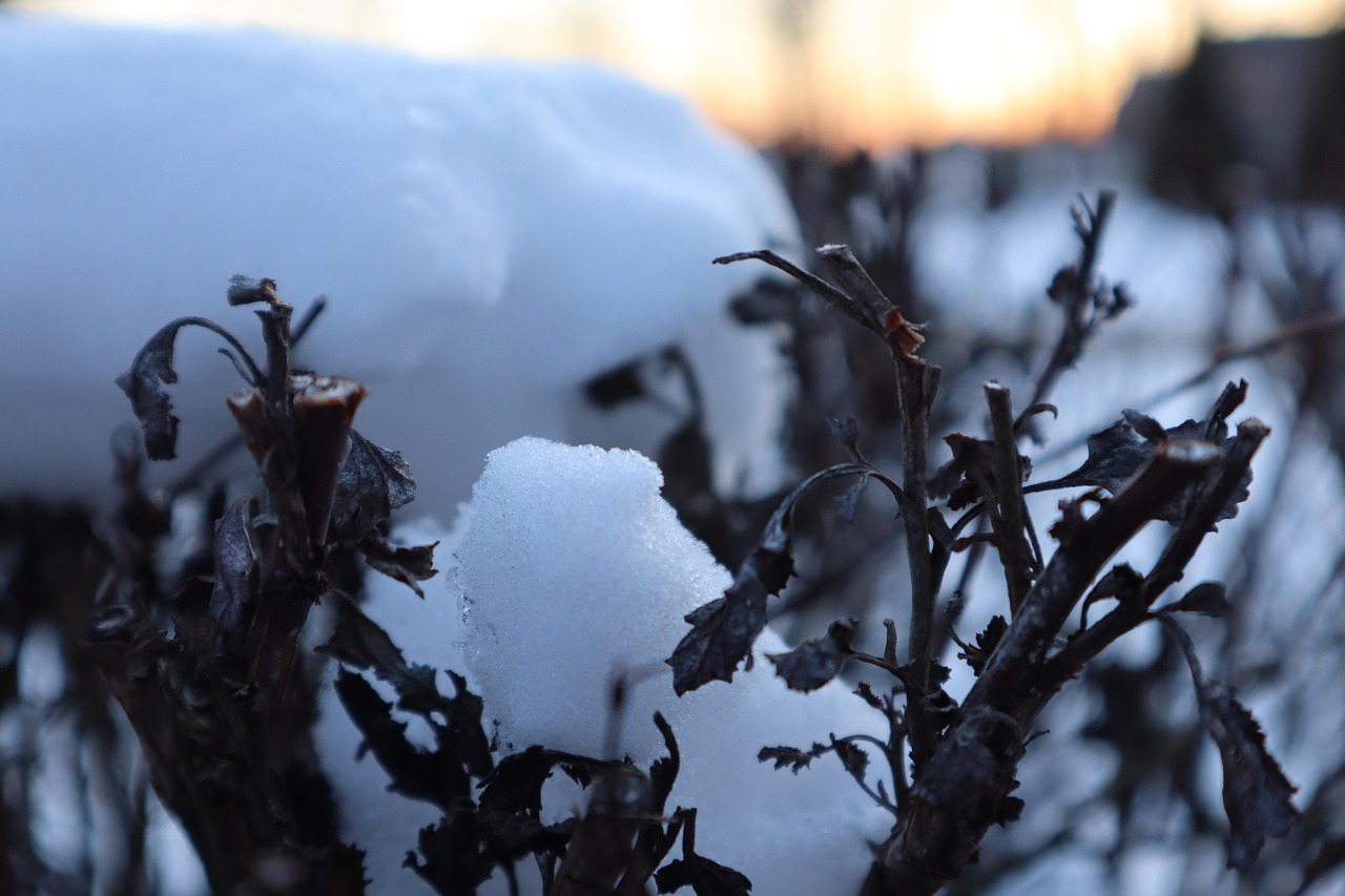 La Glace En Plein Air Hiver Du - Photo gratuite sur Pixabay - Pixabay