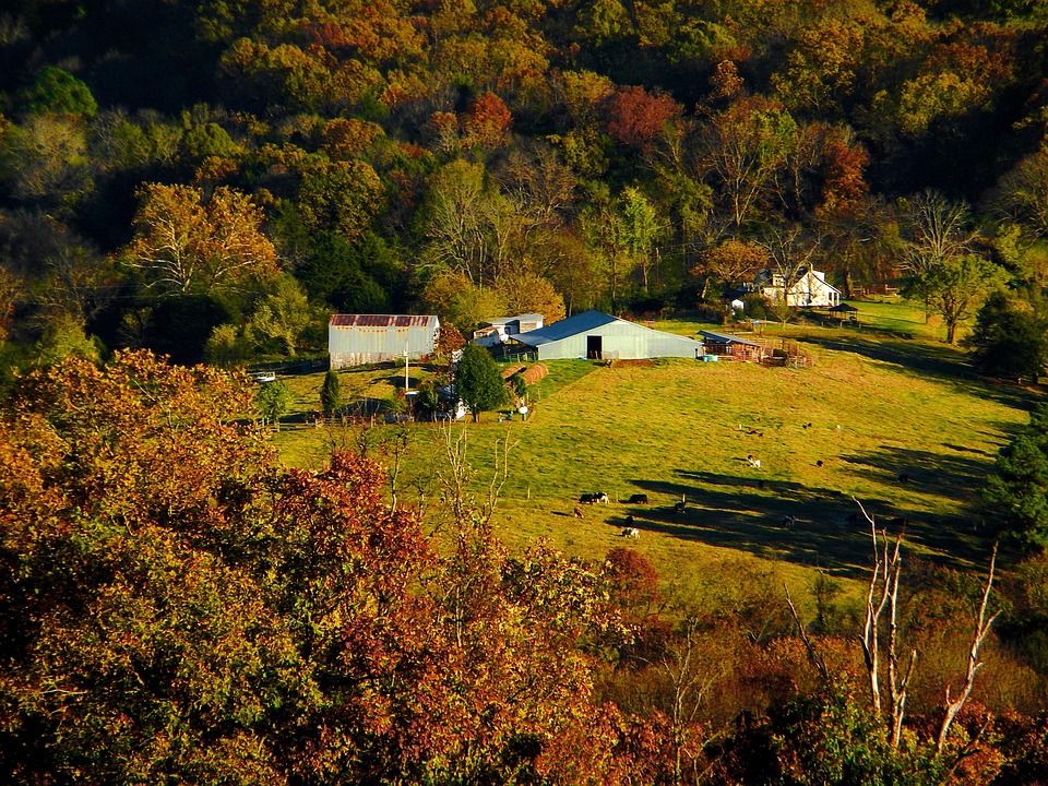 Country Living Farm Farming In A - Free photo on Pixabay - Pixabay