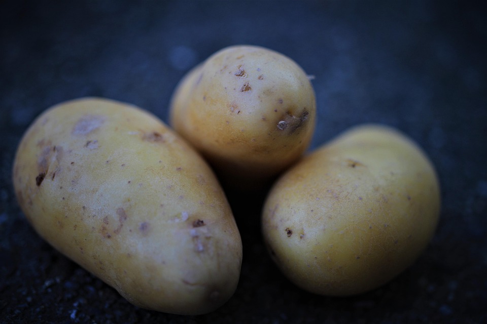 Kartoffeln Ernte Gemüse - Kostenloses Foto auf Pixabay