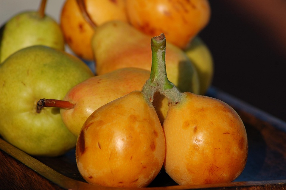 Nespole Frutta Natura - Foto gratis su Pixabay