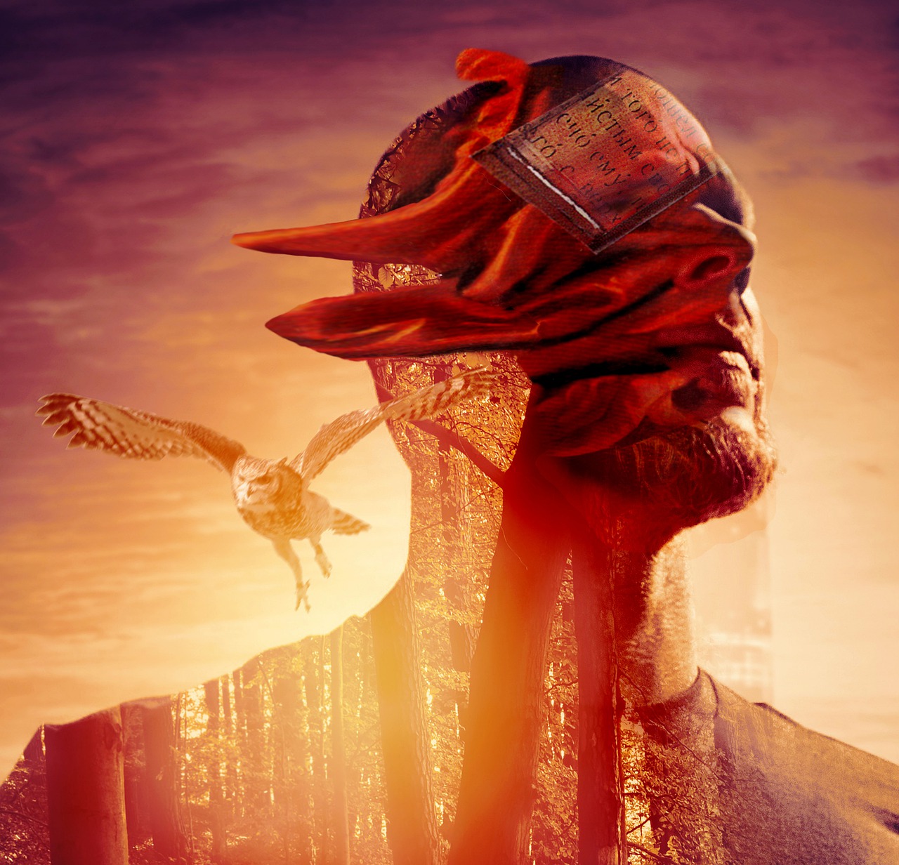 8,000+ Free Surreal & Fantasy Images - Pixabay
