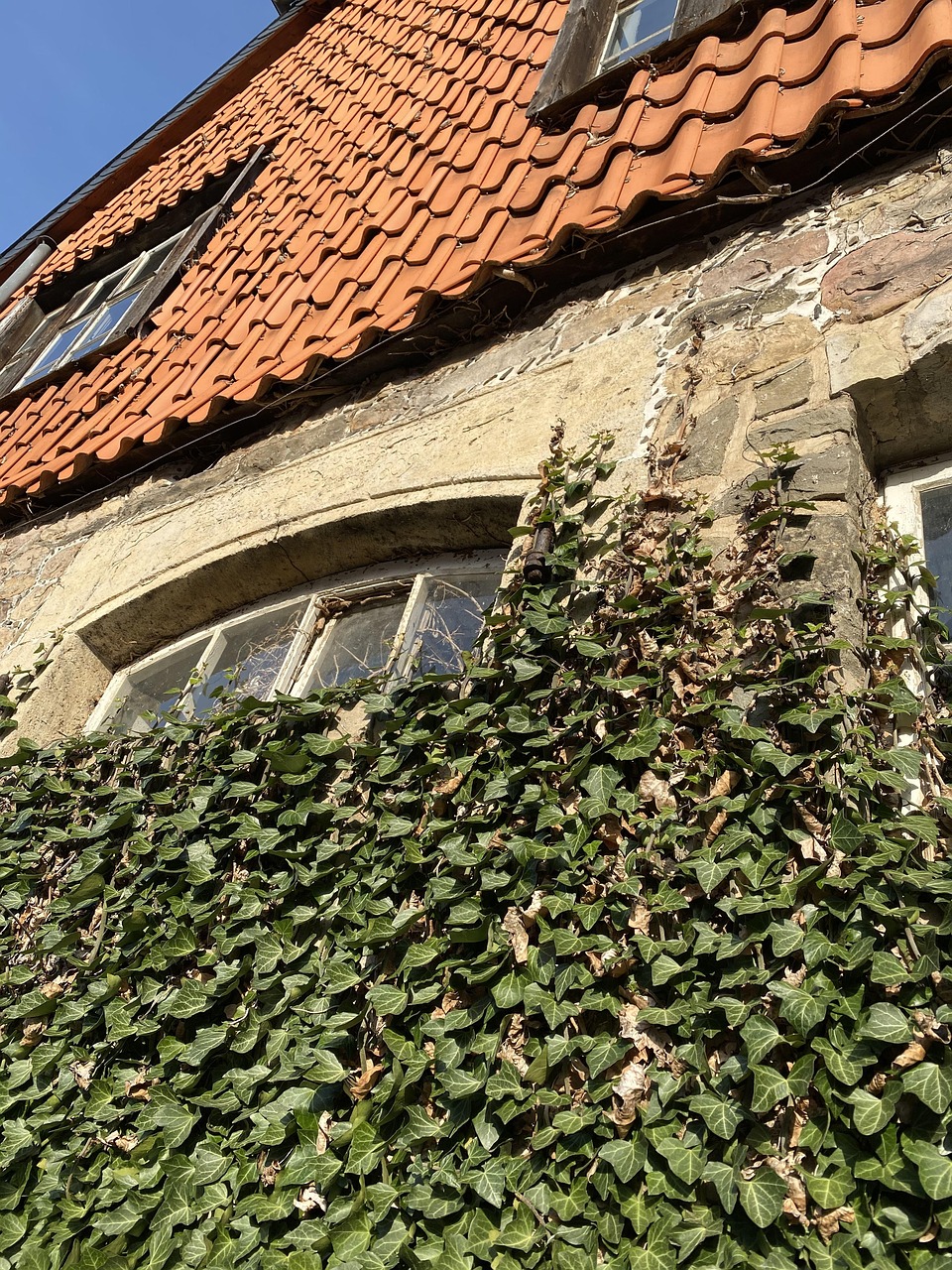 Ivy House Building - Free photo on Pixabay - Pixabay