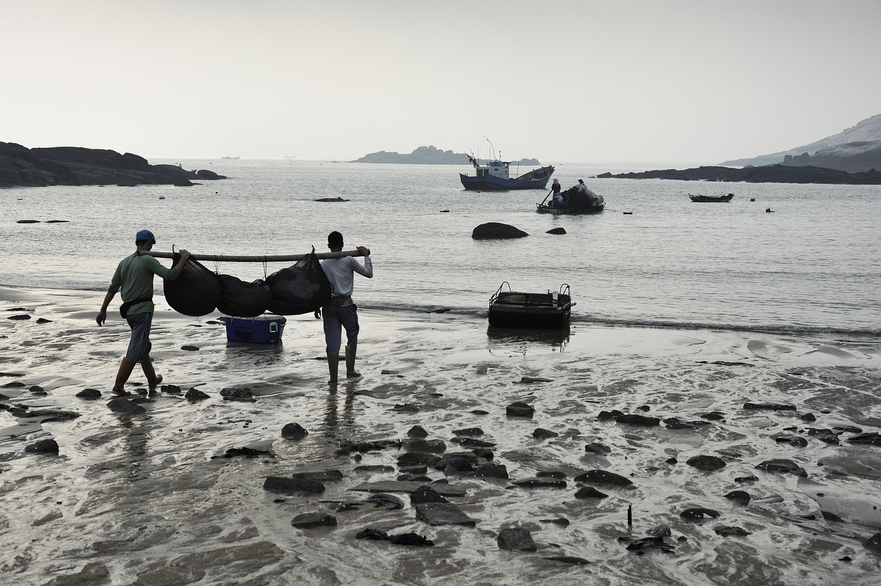 Fishermen Catching The Sea Going - Pixabay上的免费照片 - Pixabay