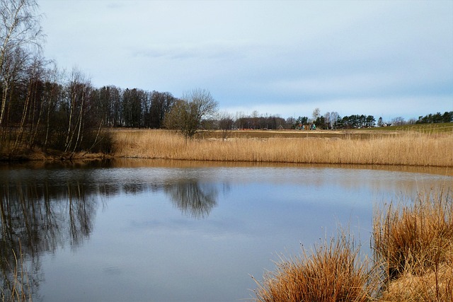 L'Eau L'Étang Nuage Les - Photo gratuite sur Pixabay - Pixabay