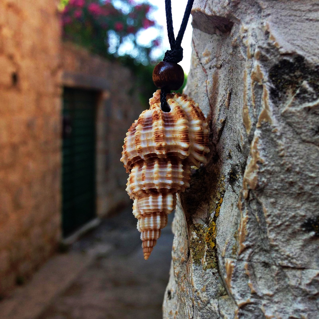Escargot De Mer Croatie Collier - Photo gratuite sur Pixabay - Pixabay