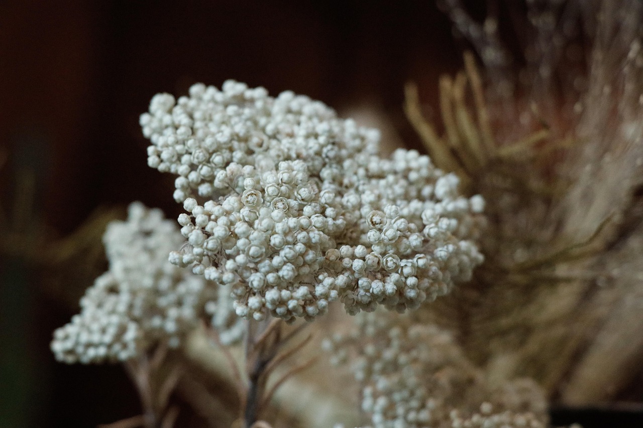 300,000+ Free White Color & Color Images - Pixabay