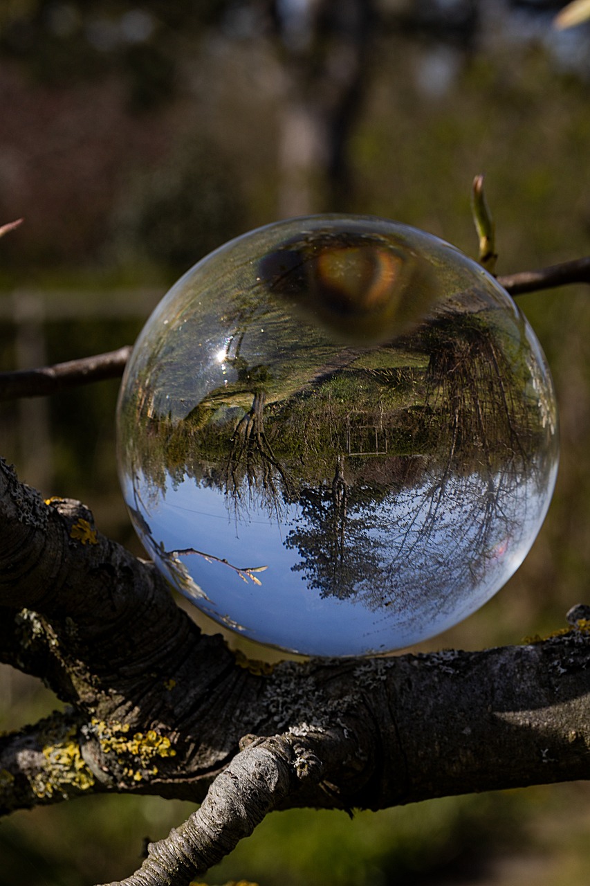 Bala Fotografia De Esfera - Foto gratuita no Pixabay - Pixabay