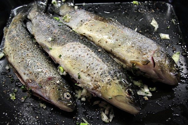 Peixe Truta Marrom - Foto gratuita no Pixabay - Pixabay