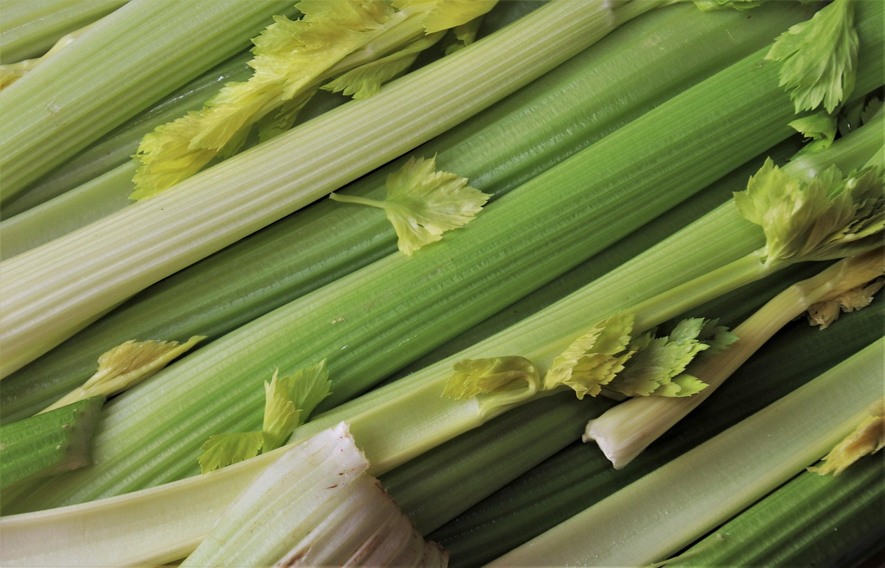 Vegetables Celery Green - Free photo on Pixabay