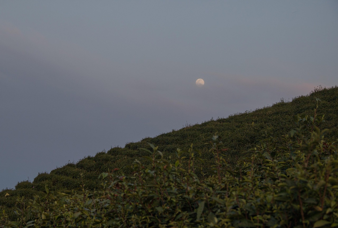 Xinyang Westen Das Jiuhua Mountain - Kostenloses Foto auf Pixabay - Pixabay