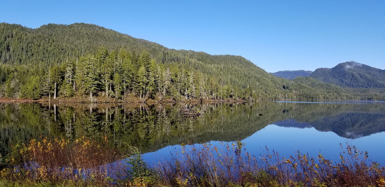 Lake Forest Peaceful - Free photo on Pixabay