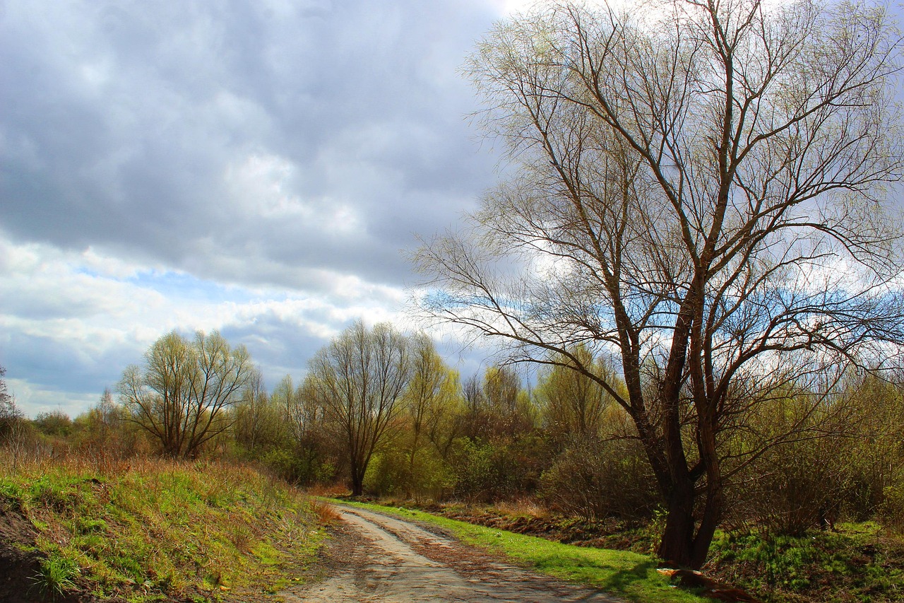 Nature View Landscape - Free photo on Pixabay