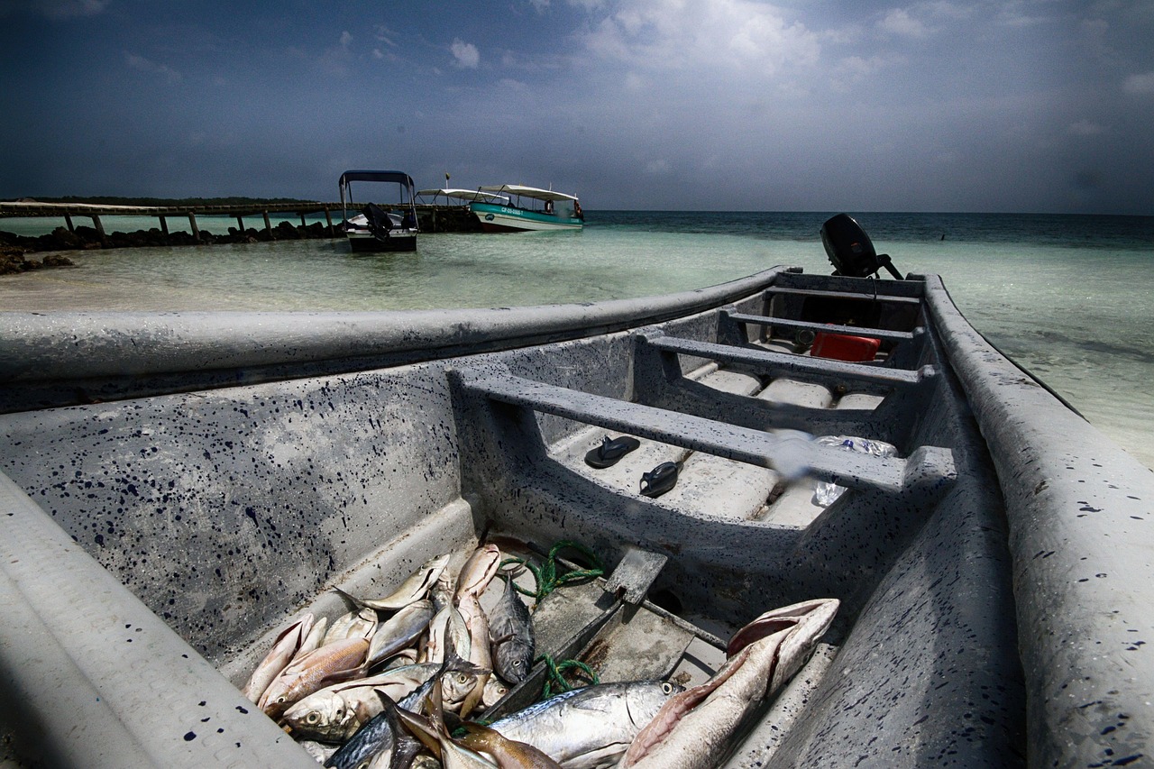 Barco De Pesca Colombia Canoa - Foto gratis en Pixabay