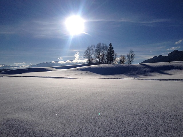 Schne California Sun Neusser Str Bild