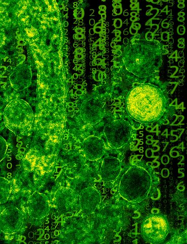 100+ Free Contamination & Toxic Images