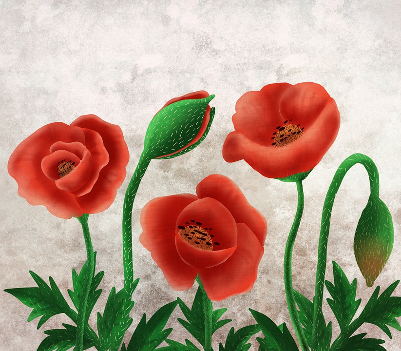 Download Poppies, Illustration, Flowers. Royalty-Free Stock ...
